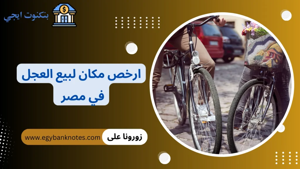 دليل عناوين وأرقام ارخص أماكن بيع العجل في مصر 2026 لعشاق الدراجات الهوائية